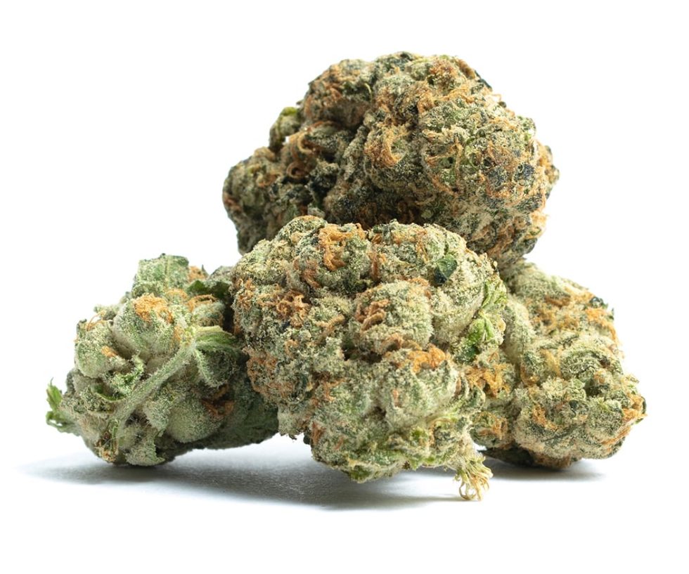 Bulk CBD Distributors For The Best CBD Wholesale Supplier