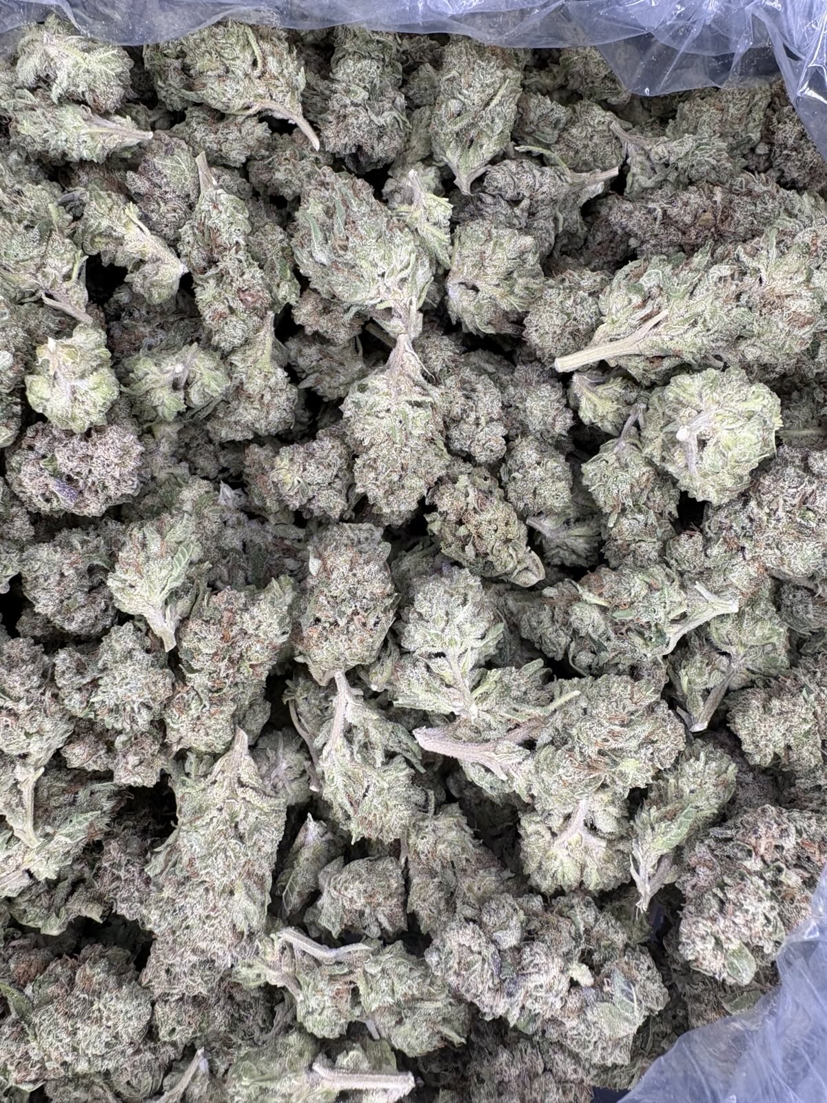 Buy Pineapple Thai Light Dep THCA Flower At BCD