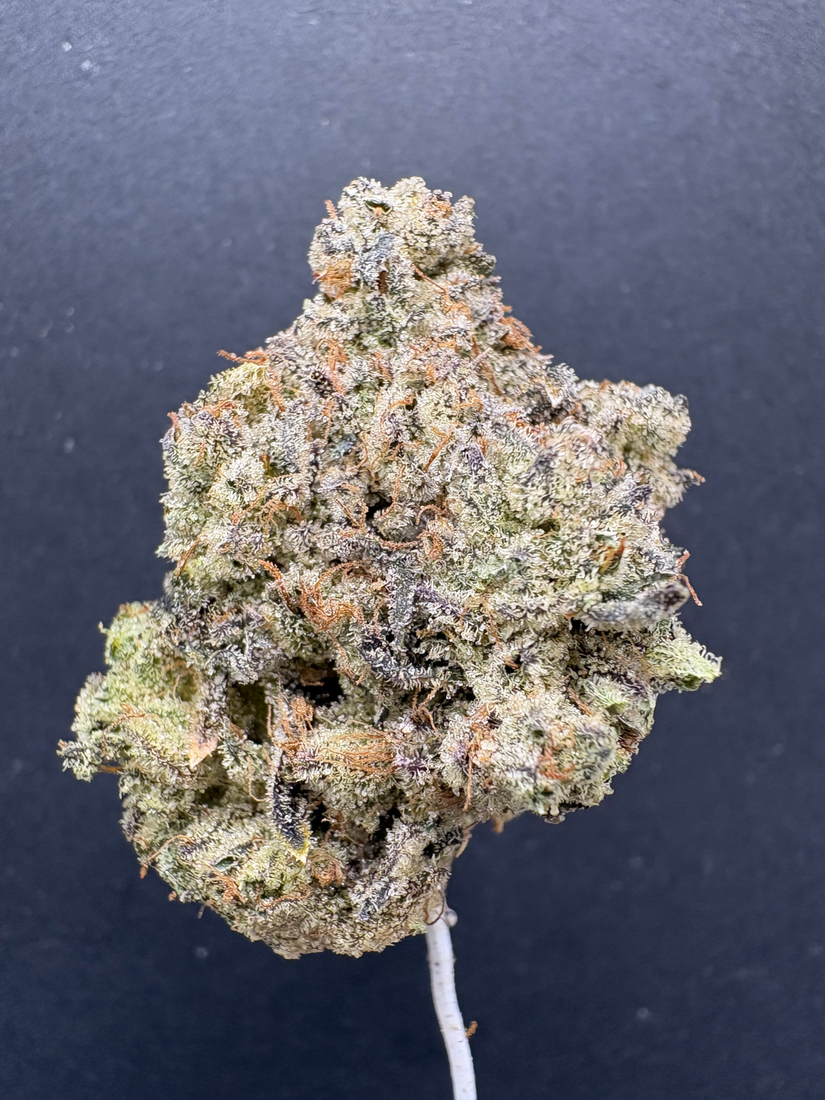 Buy Dirty Bird Light Assist THCA Flower At BCD